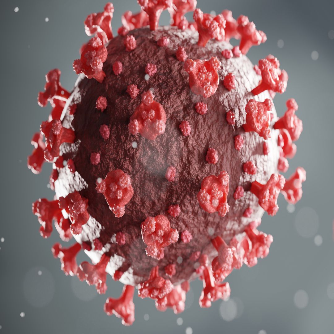 What to Know About BA 5 Variant - North Shore University Hospital ...